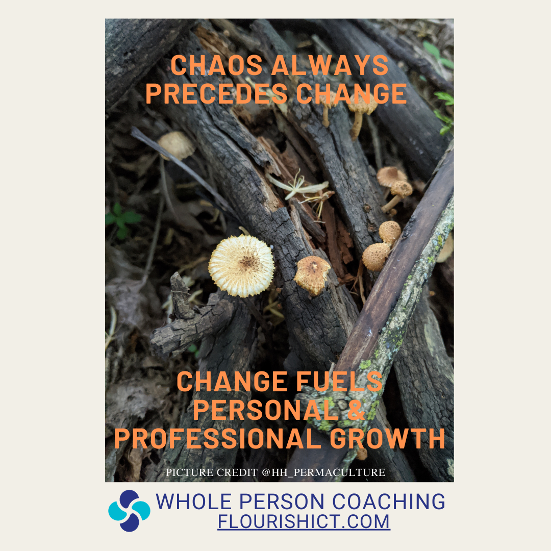 From Chaos through Change to Growth – Flourish Whole Person Coaching